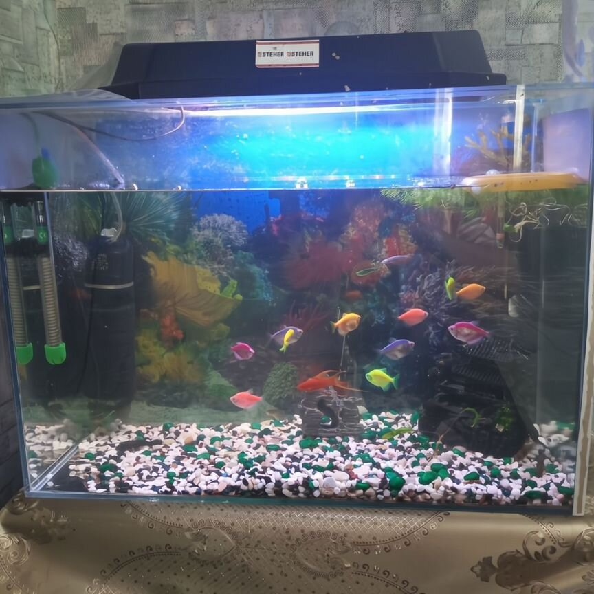 Аквариум с рыбками