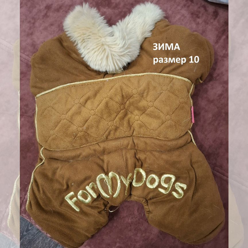 Одежда для маленьких собак в добрые руки
