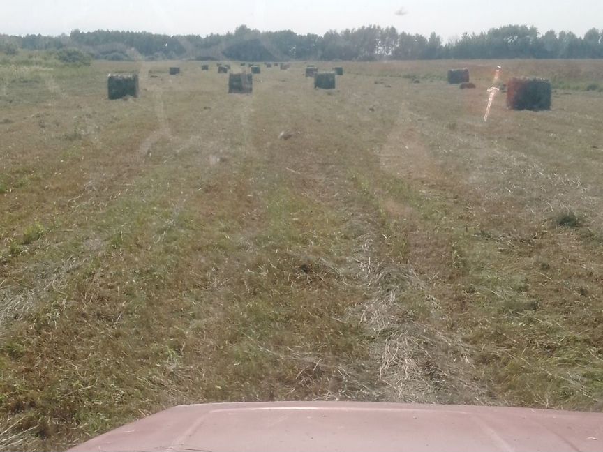 Продается сена