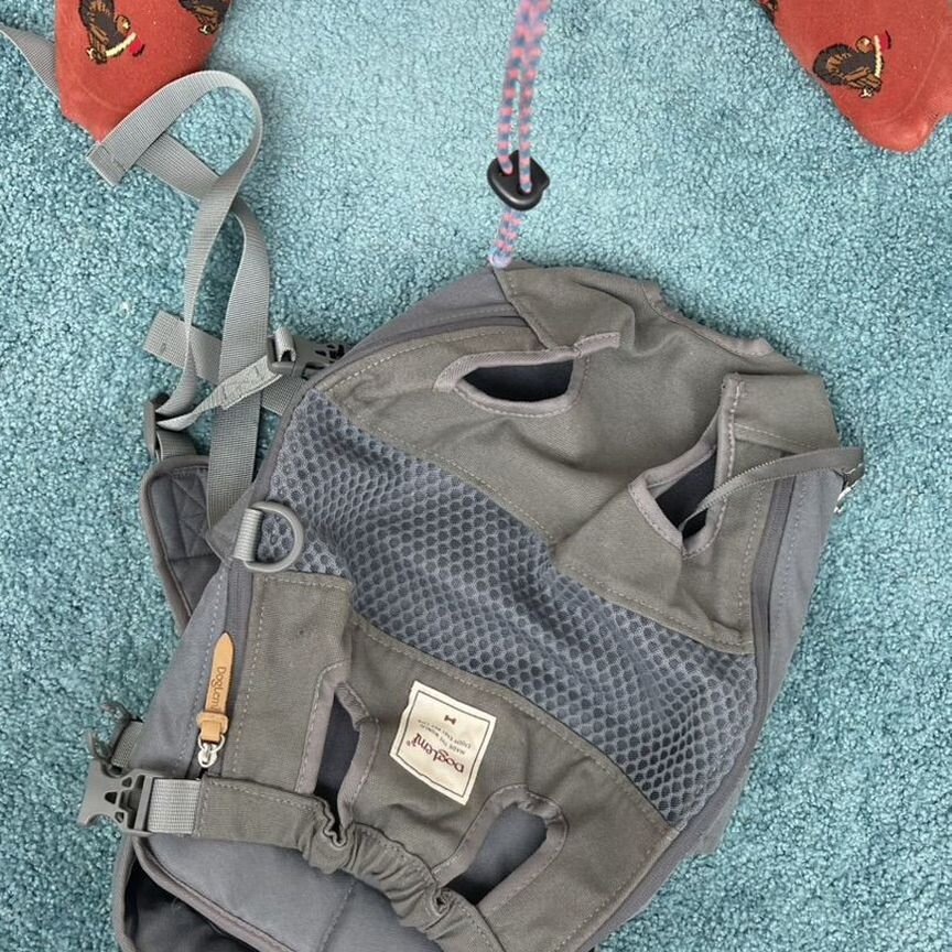 Рюкзак для животных