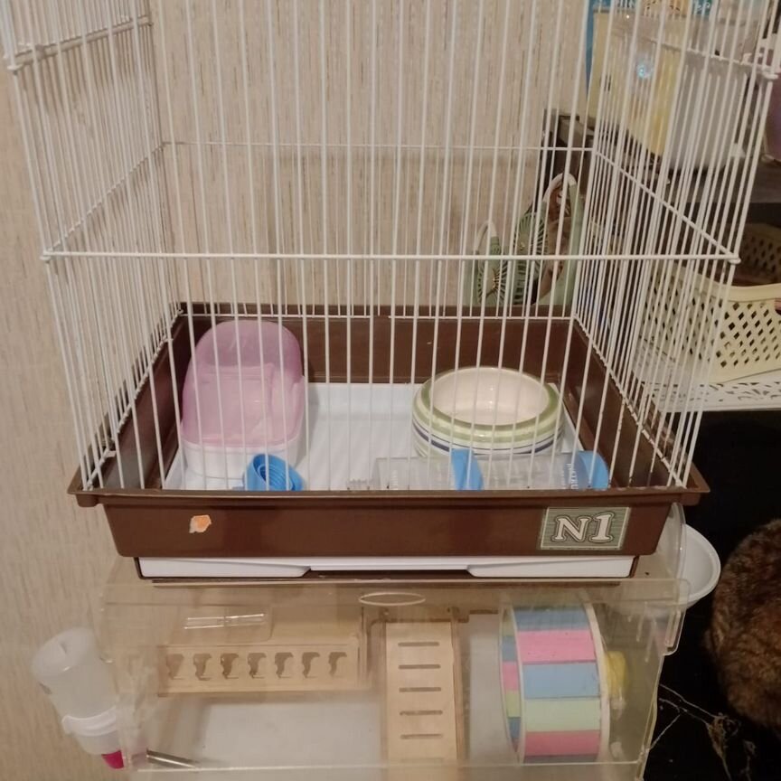 Клетки для грызунов и многое другое