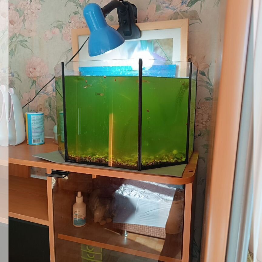 Аквариумы, бу 30 л, 20 и 5л