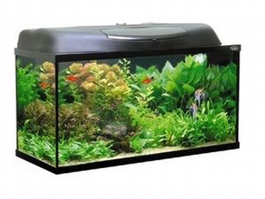 Аквариум Aquael pearl (Aqua4home) 80 (112 литров)