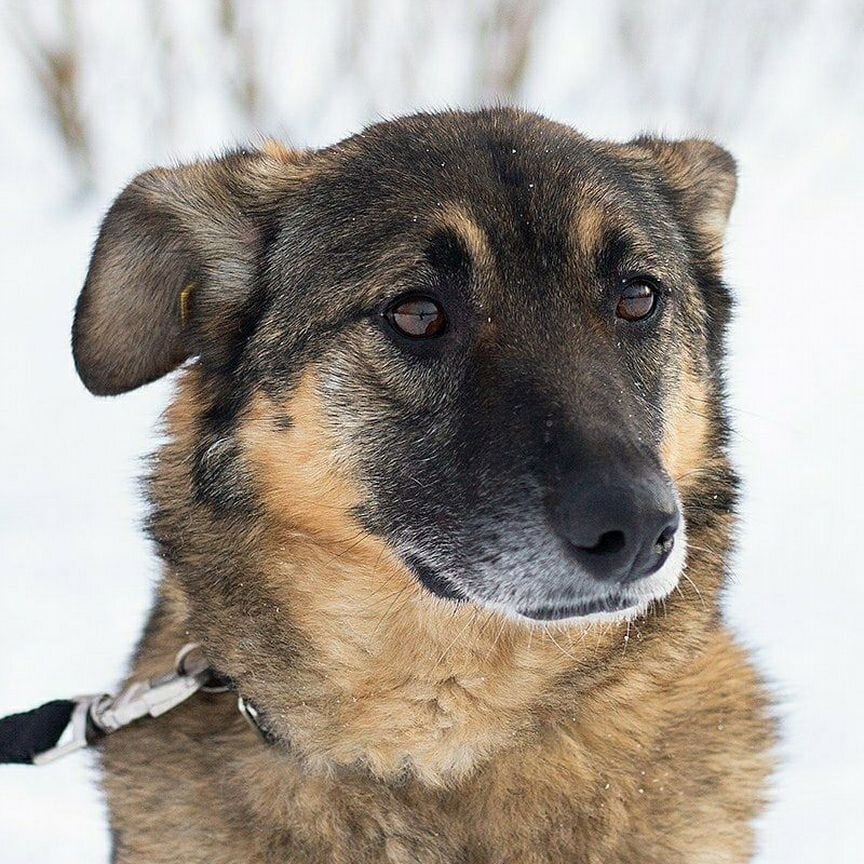 Замечательная Зайка