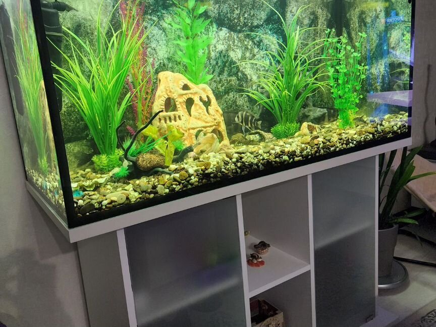 Аквариум с тумбой 250 литров