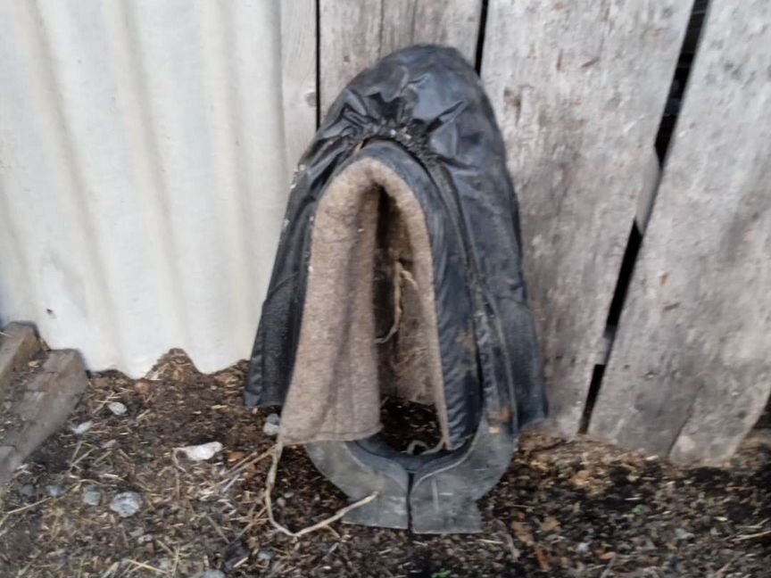 Сбруя для лошади