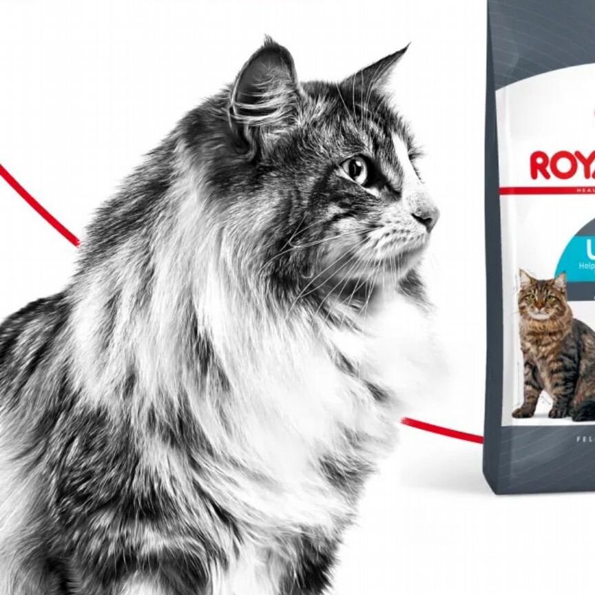 Корм для кошек Royal Canin Urinary