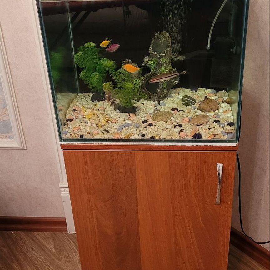 Аквариум 60 литров с тумбой