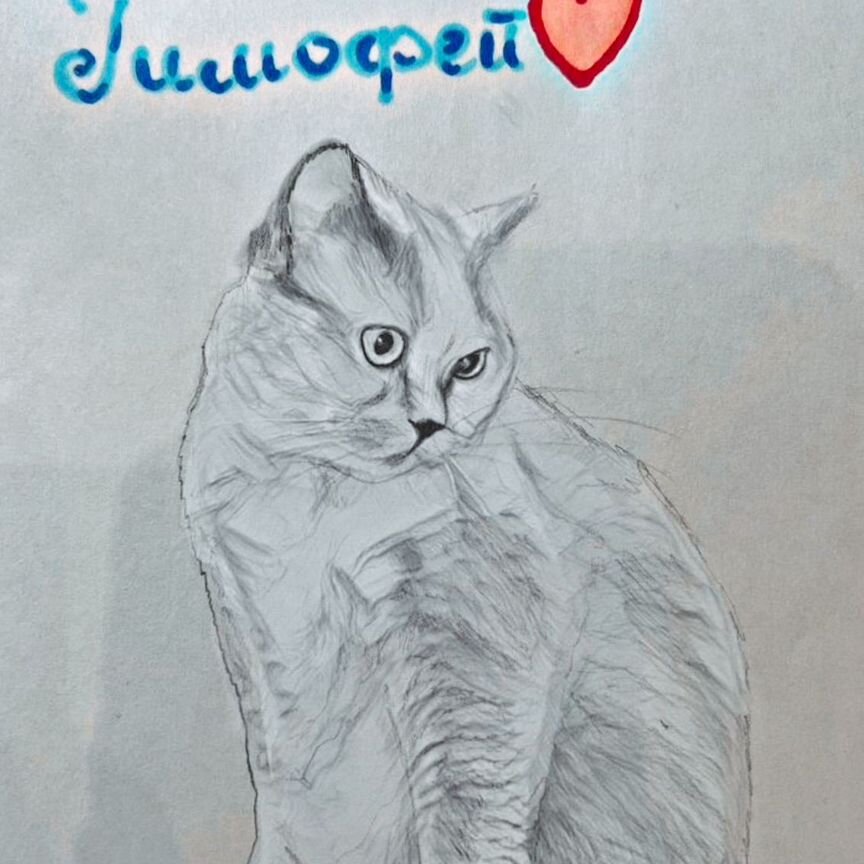 Рисую ваших питомцев