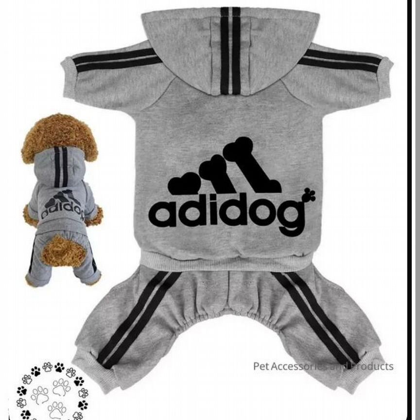 Одежда для маленьких пород собак