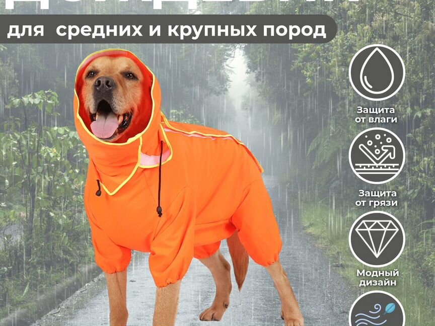 Дождевик для средней собаки