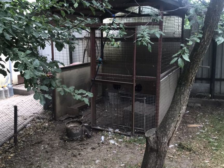 Продаю клетки для разведения птиц, фазанов