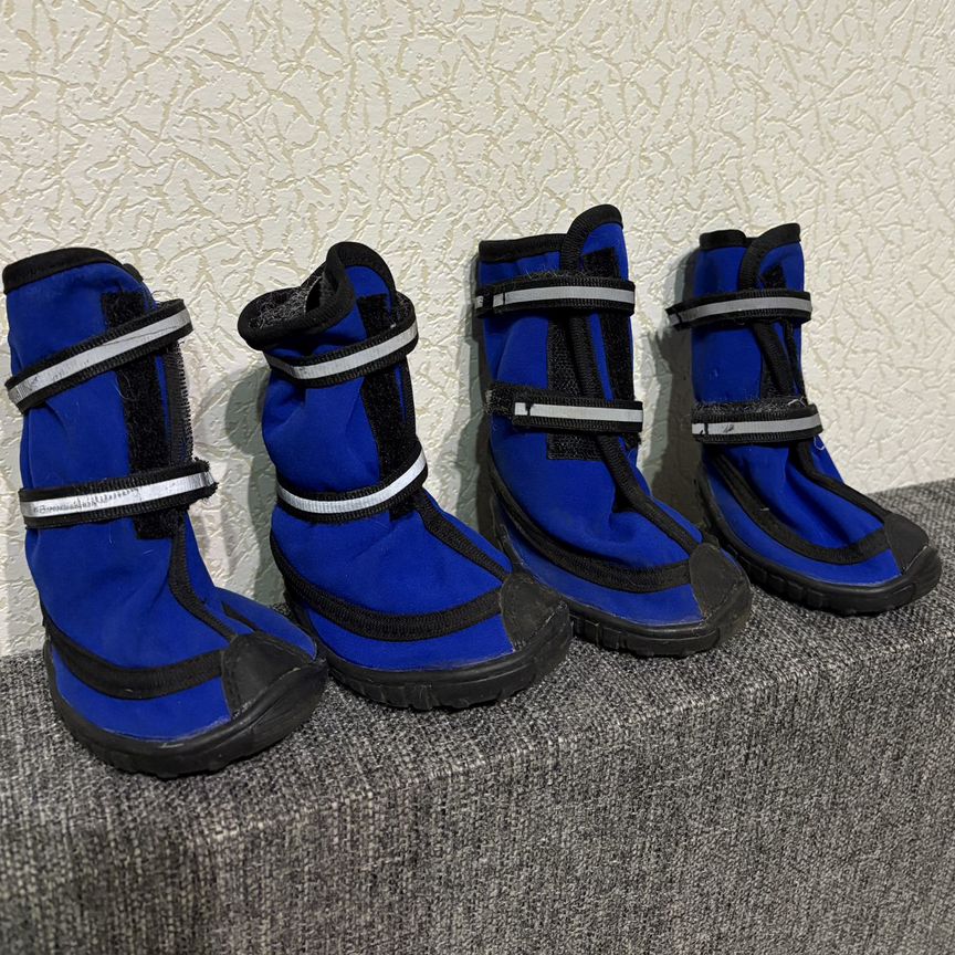 Ботинки для собак