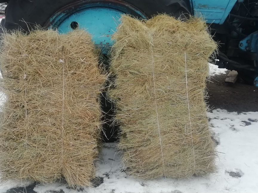 Продаётся сено в кипах