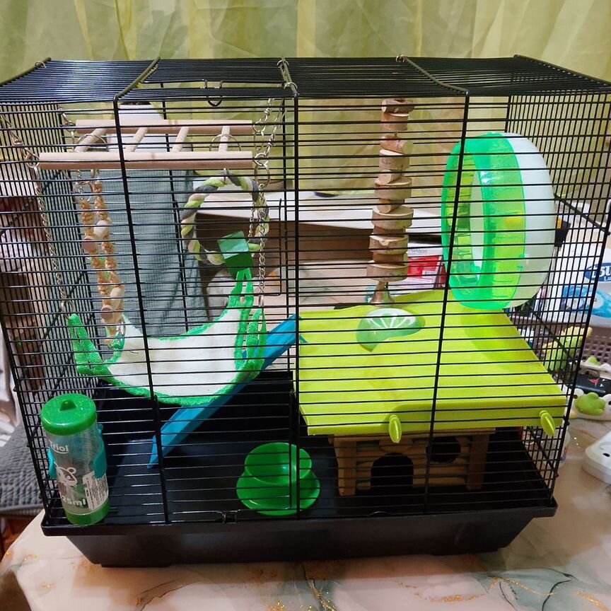 Клетка с хомячком на выбор