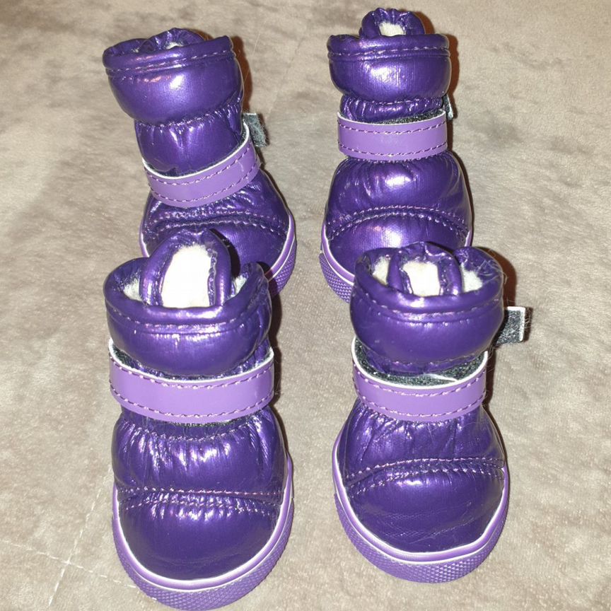 Обувь для собак