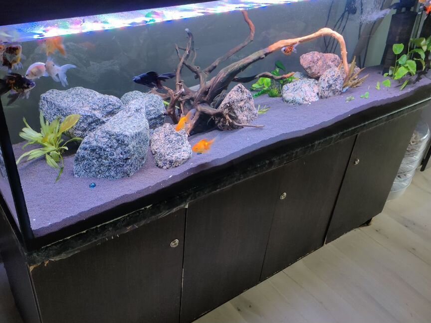 Аквариум 650 литров