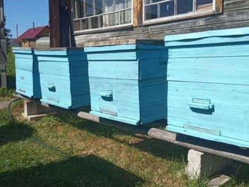 Улей для пчел