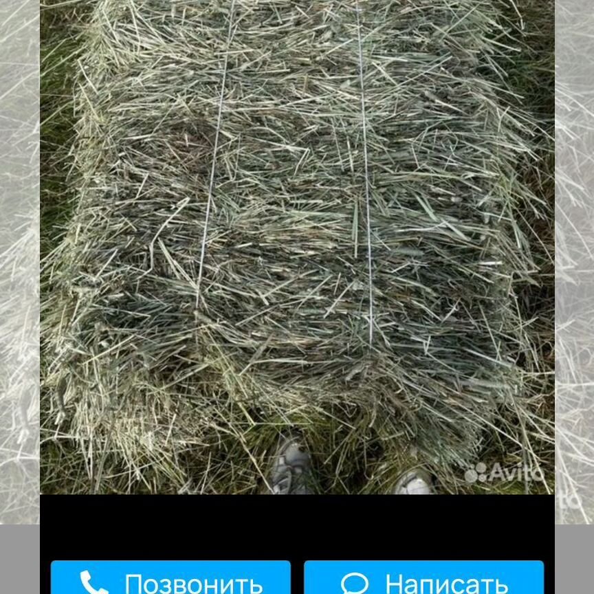 Сено в тюках