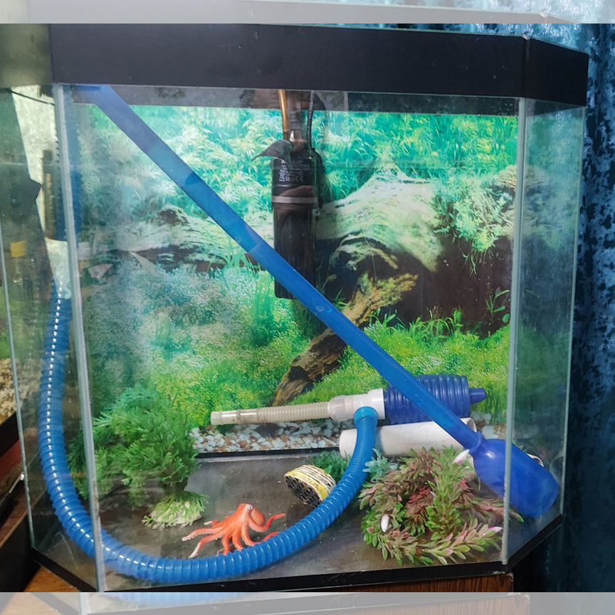 Аквариум панорамный