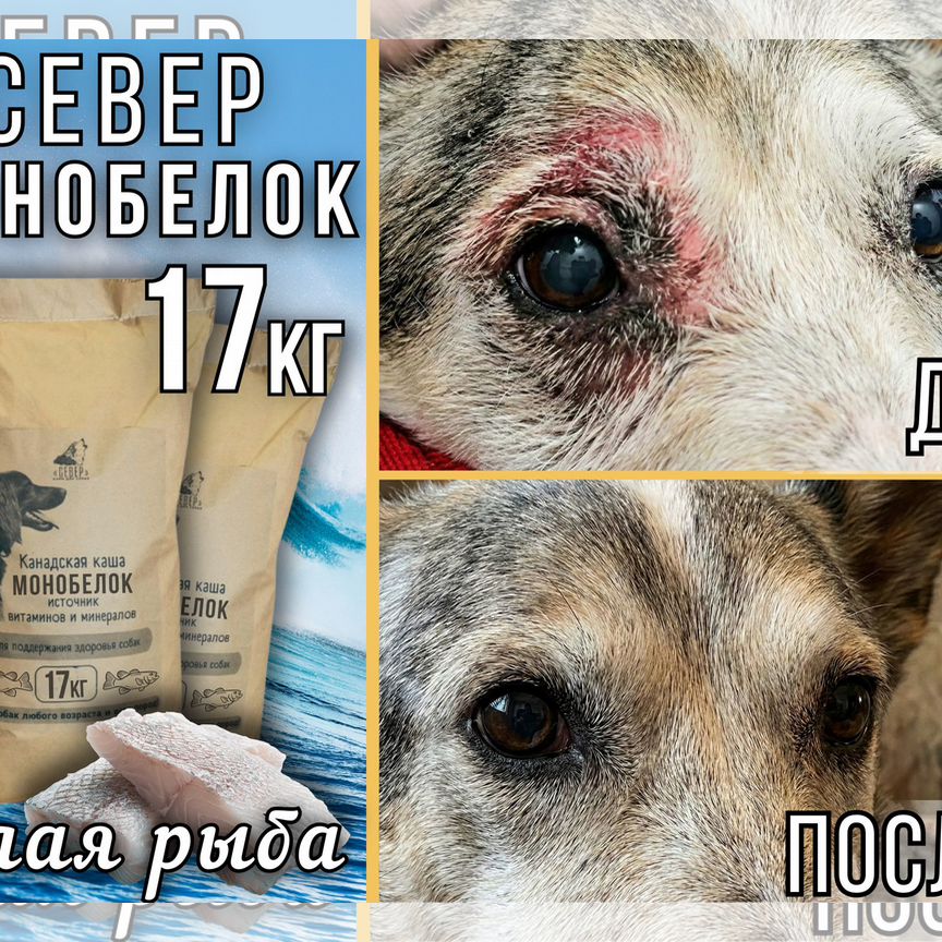 Корм Гипоаллергенный 17кг/ Север Монобелок