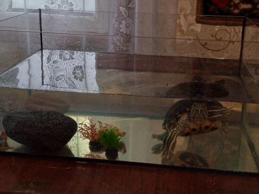 Аквариум 35 л для черепах