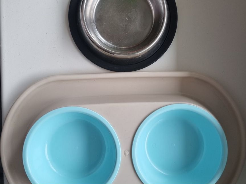 Миски для животных