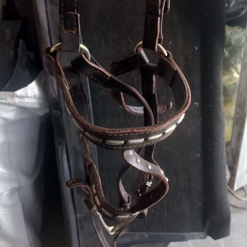 Уздечка для лошади