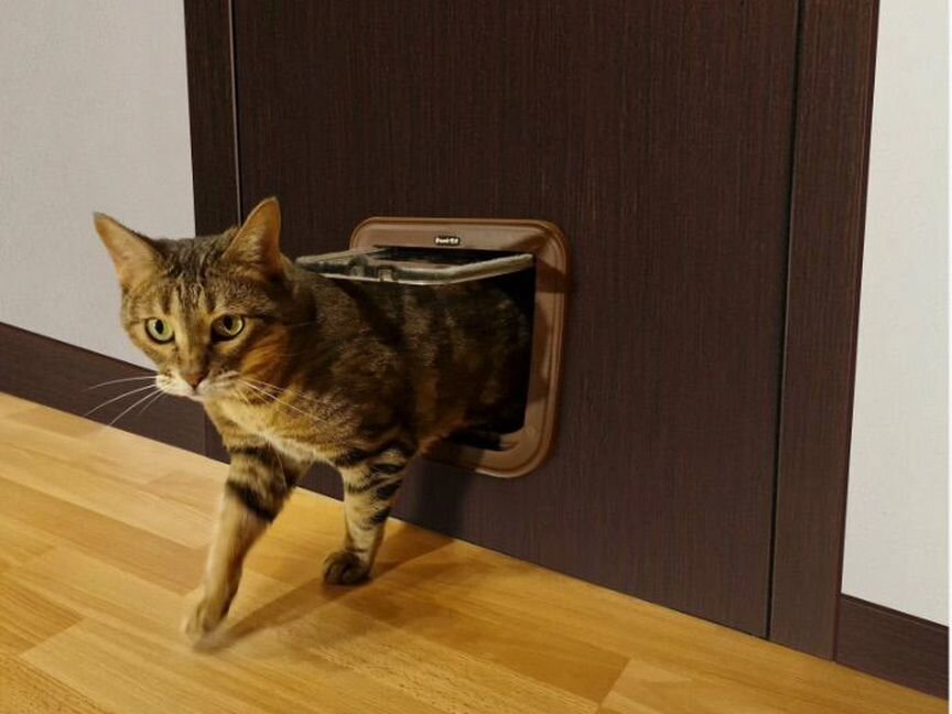 Новый Котоход Trixie — Дверца для кошек и собак