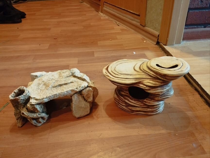 Островок для черепахи