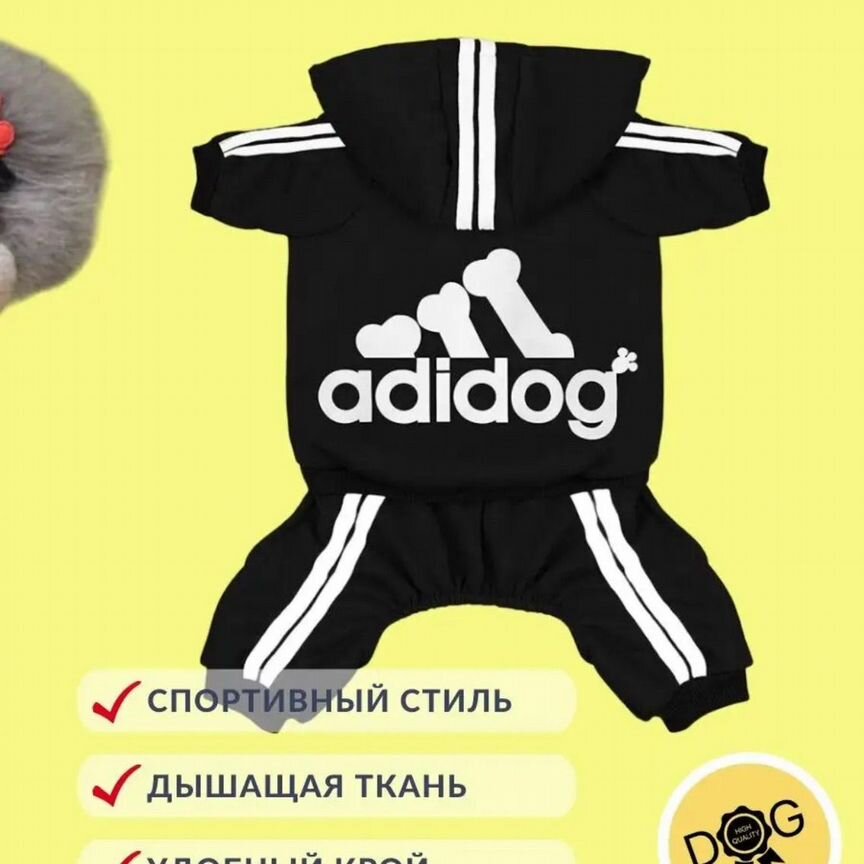 Одежда для собак