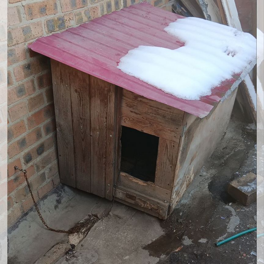 Будка собачья бу