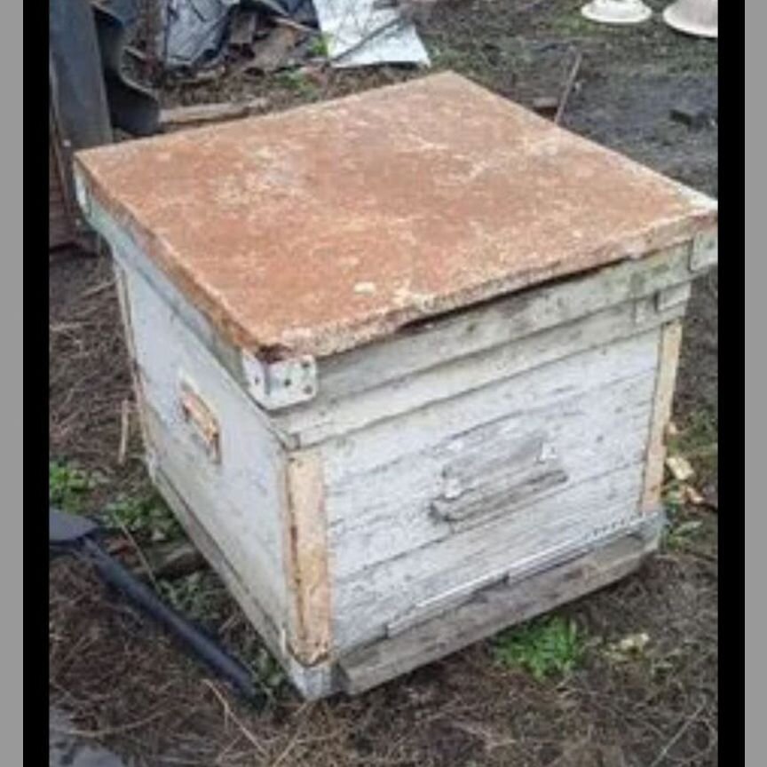 Улей дадан 12 рамок