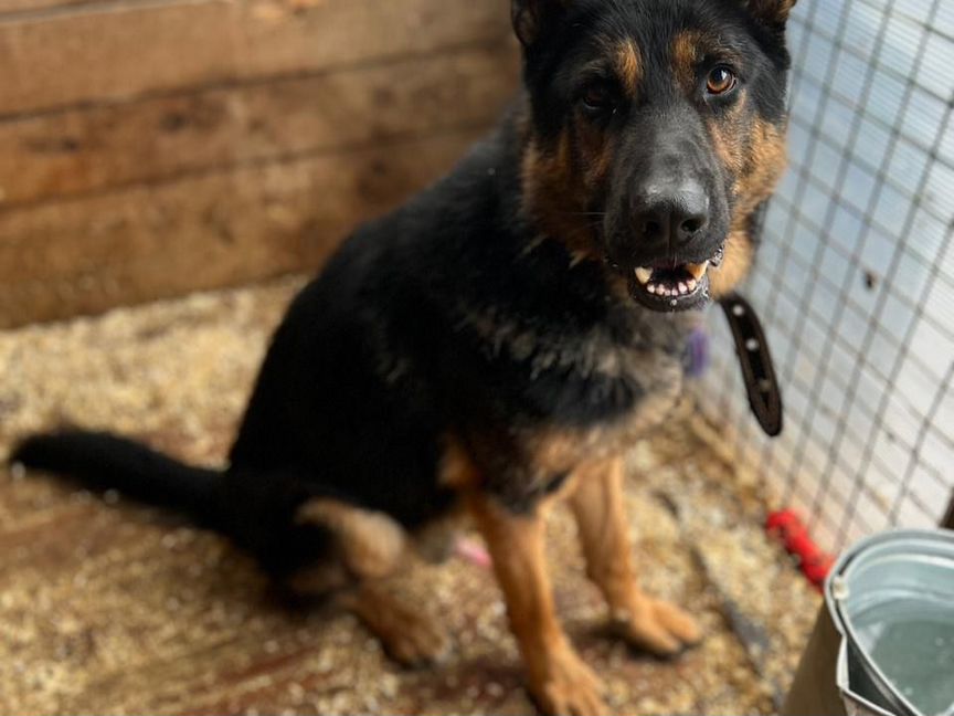 Покер-мы ищем для покера дом и семью