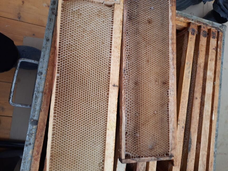 Рамки для ульев сушь