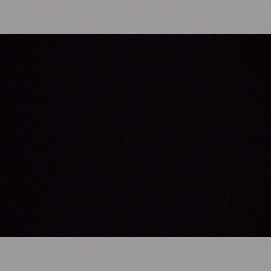 Собаки
