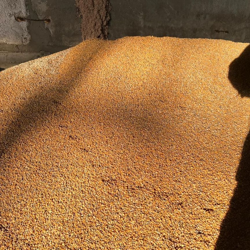 Половинки гороха