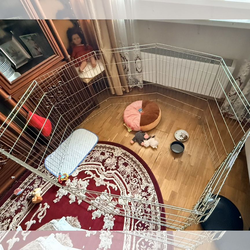 Вольер для собак