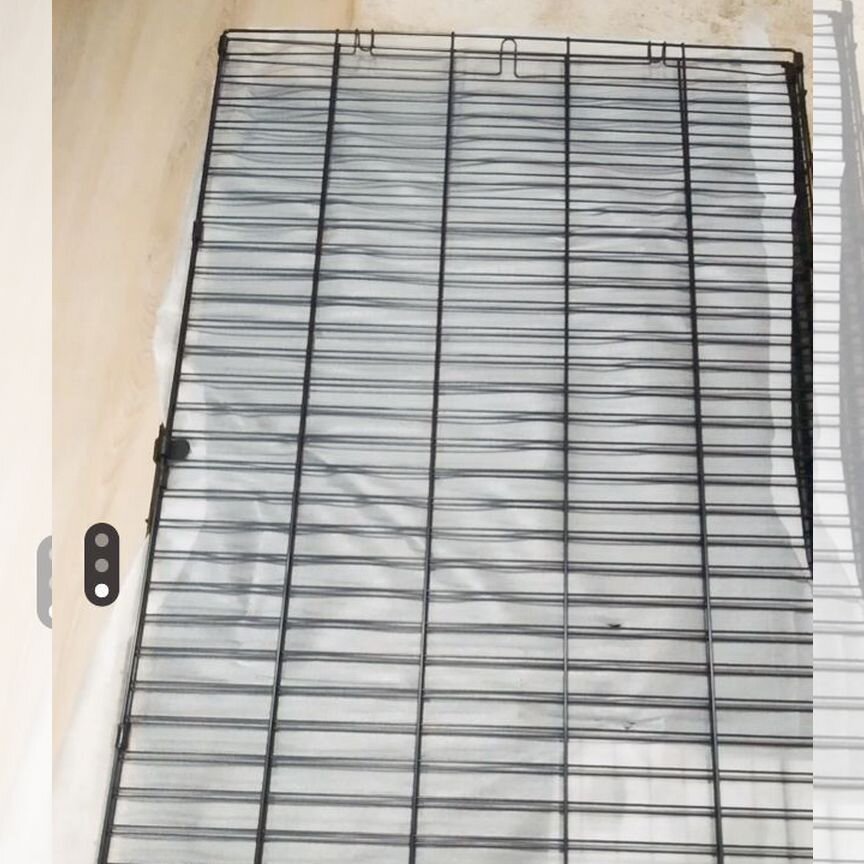 Принадлежности для собак