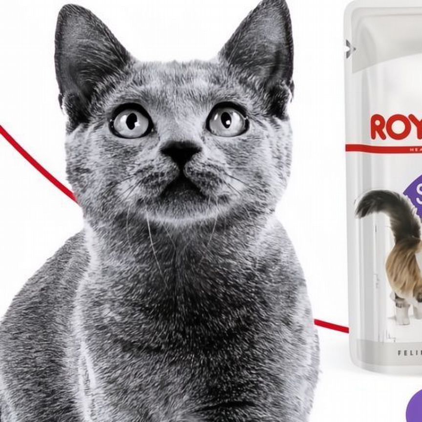 Royal Canin Влажный корм д/стерил кошек 28 шт
