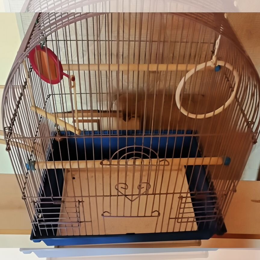 Клетка для попугая