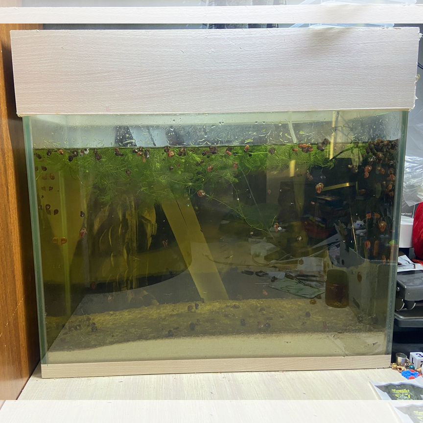 Аквариум с рыбками