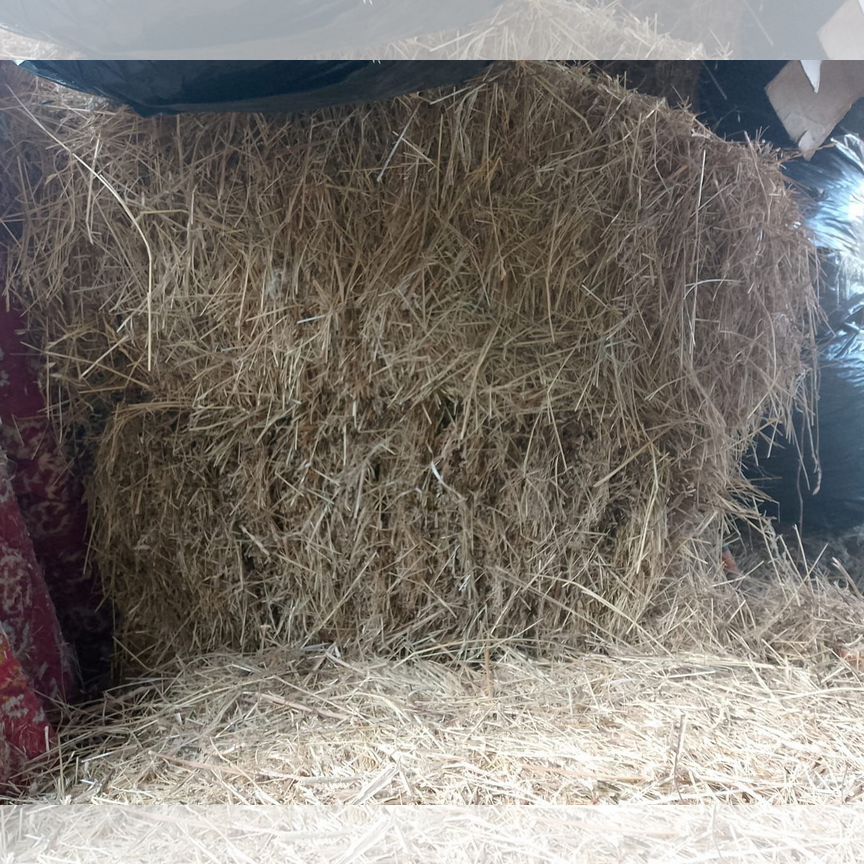Сено разнотравье 20шт ячмень17