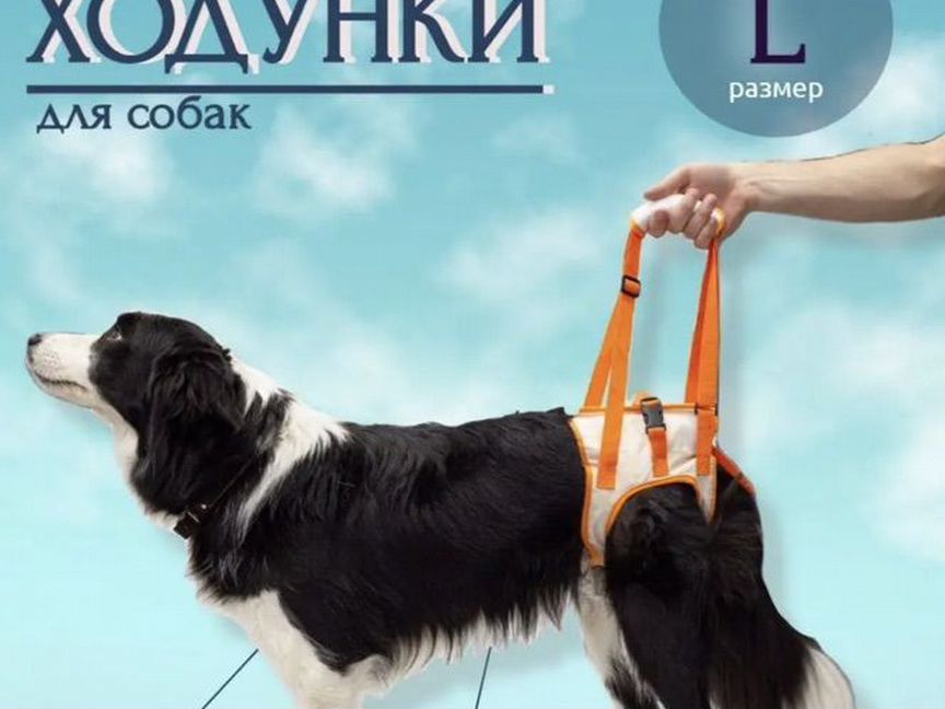Ходунки для животных