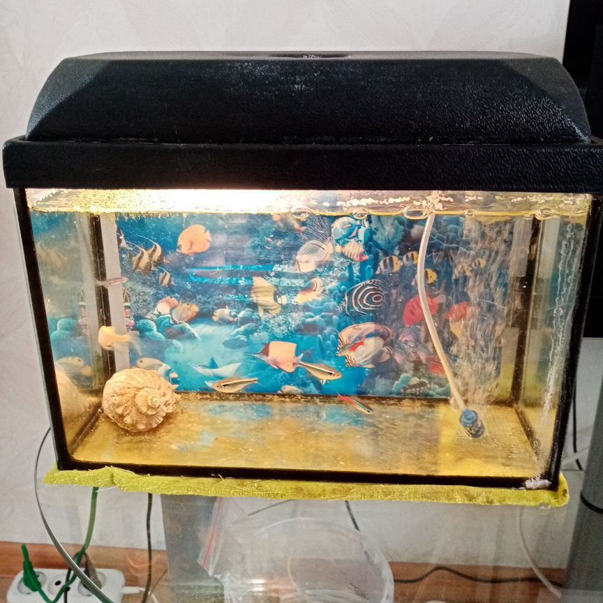 Аквариум с рыбками бу, на 8л