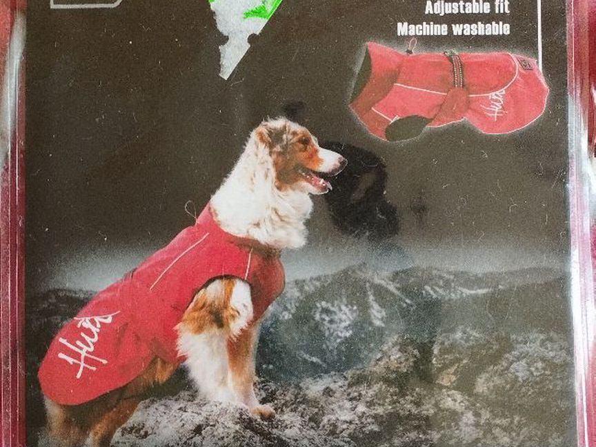 Одежда для собак, дождевик