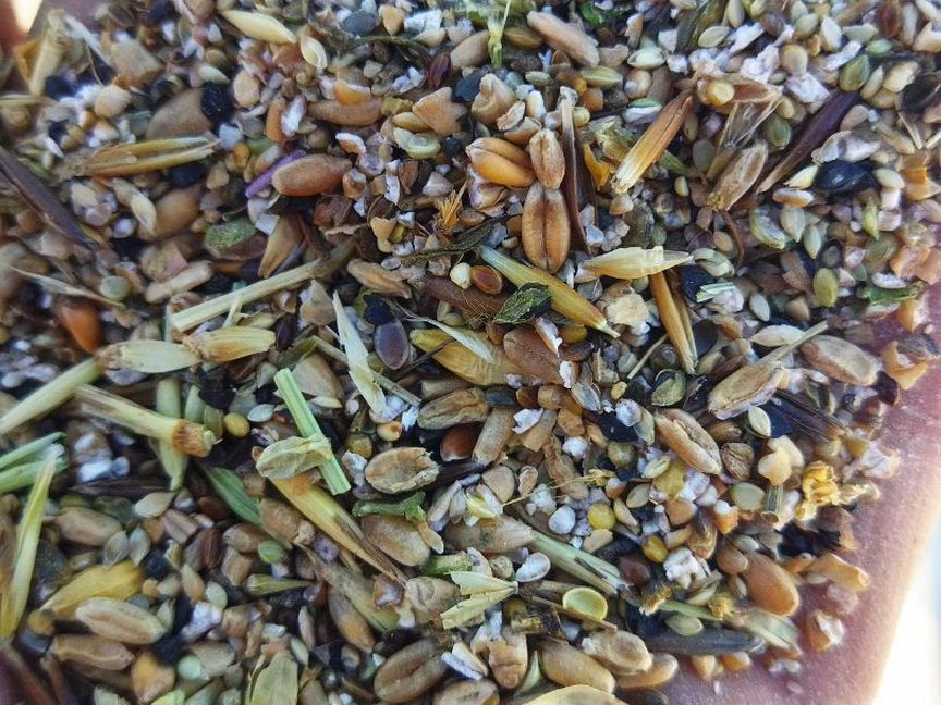 Зерноотходы