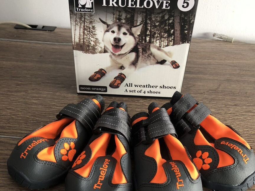 Обувь для собак. Truelove shoes
