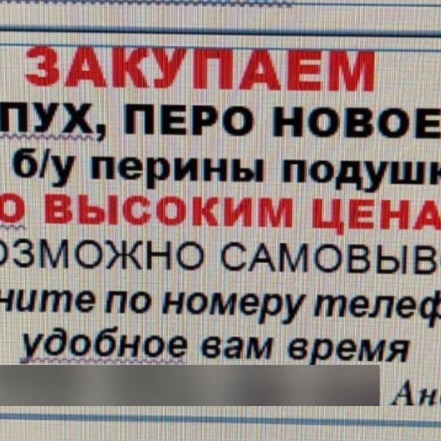 Закупаем пух перо Гусиное сухой и также мокрый