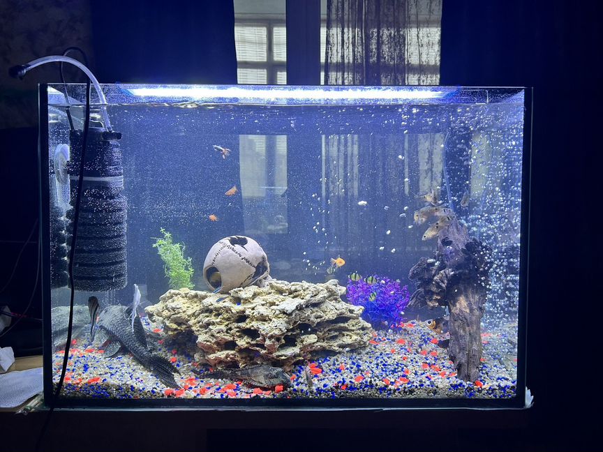 Аквариум на 100 литров